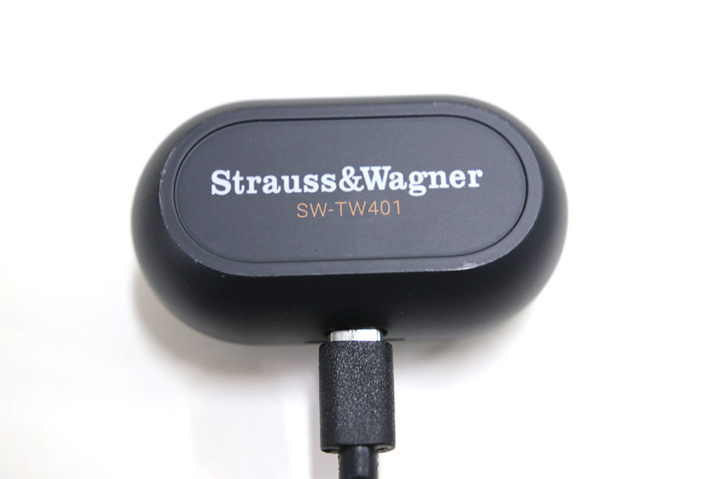 Strauss and Wagner TW401 True Wireless Earbuds Review - Headphone Dungeon